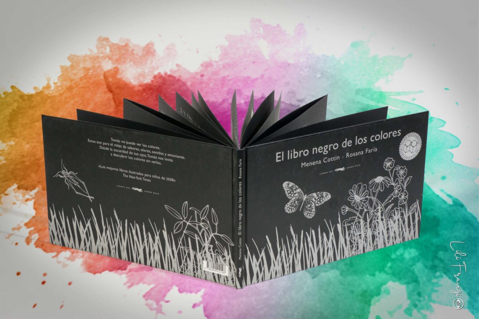 AMSAFE Caseros | El libro negro de los colores